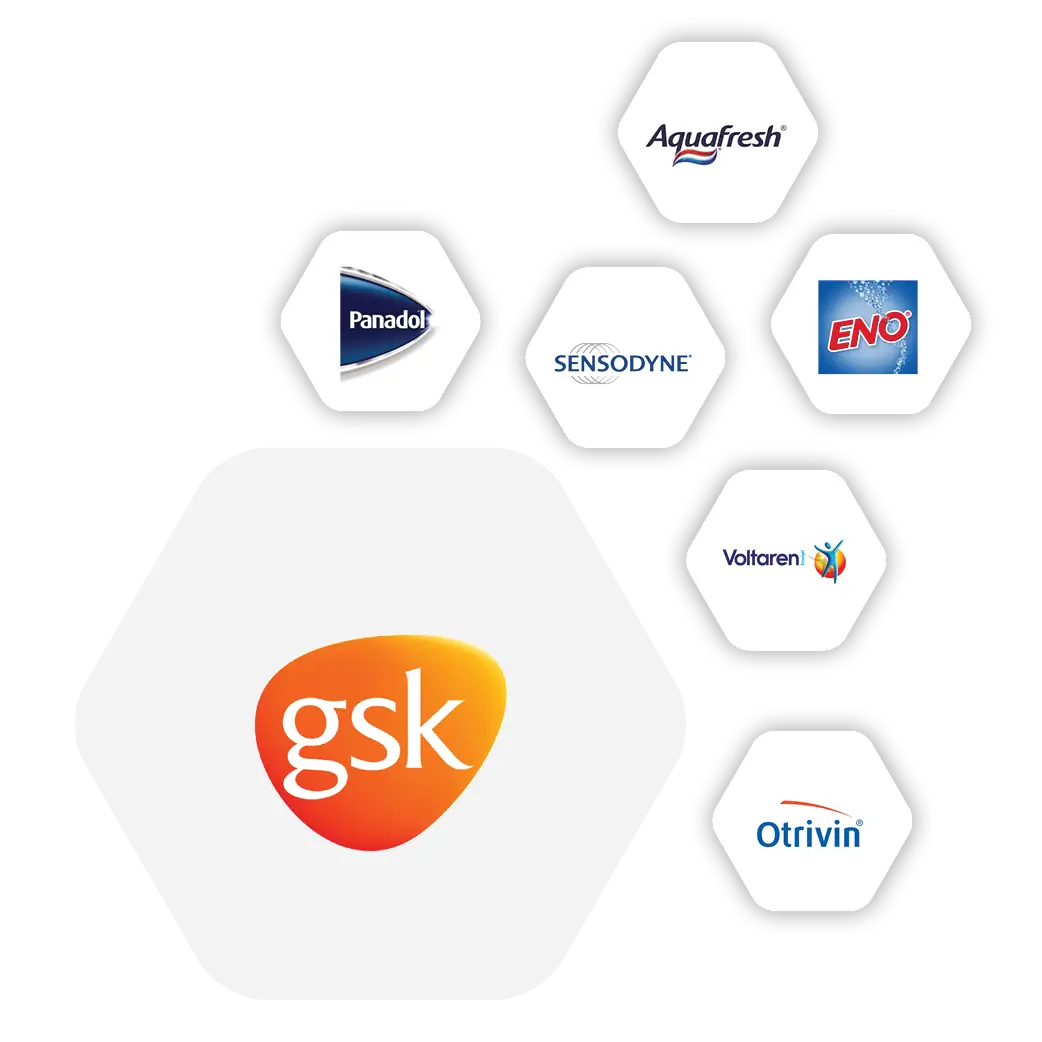 Data Analysis Services | DotActiv